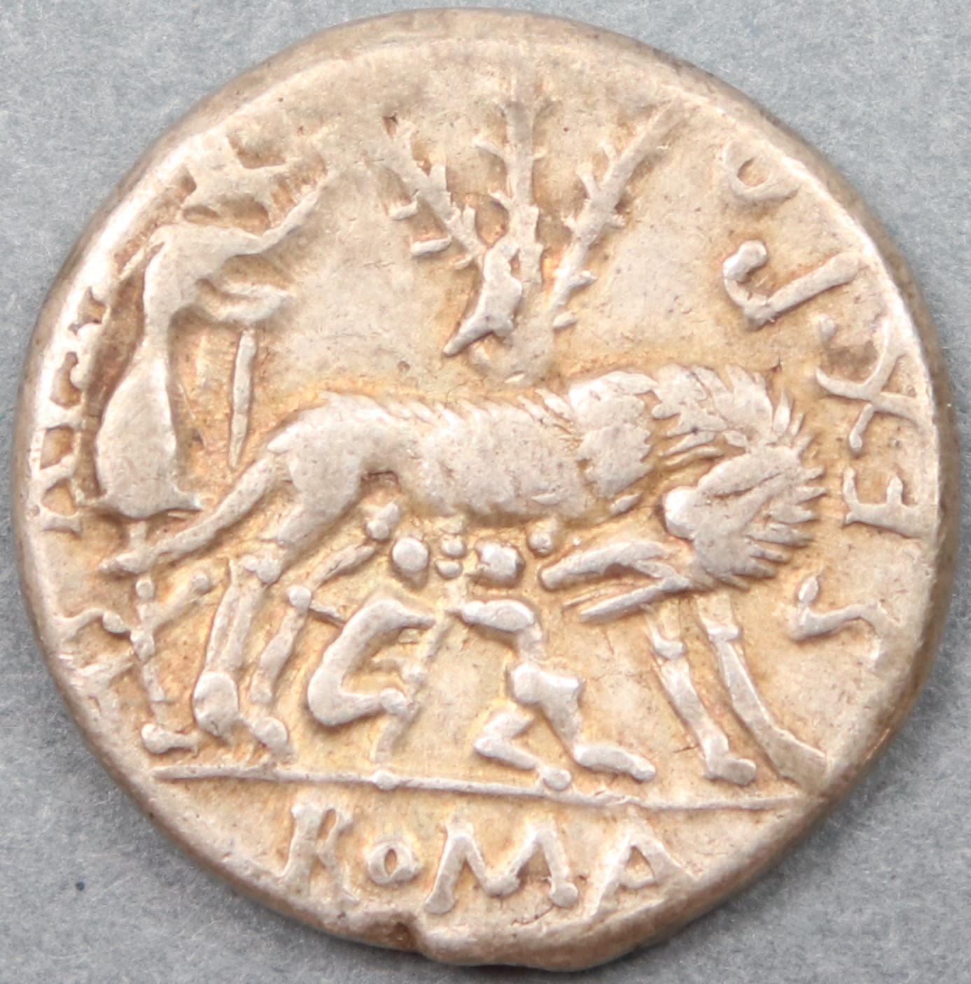 Roman republican coins | Museo di Archeologia