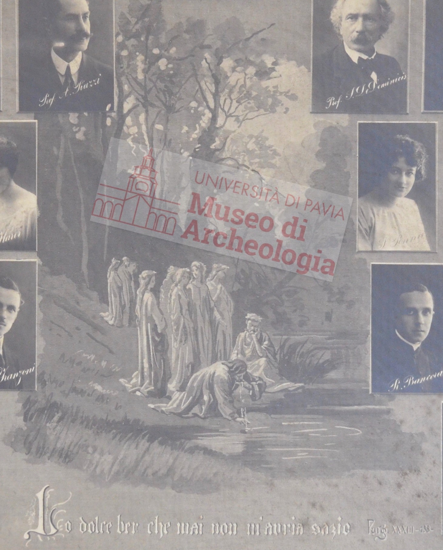 Dante day 2021 | Museo di Archeologia